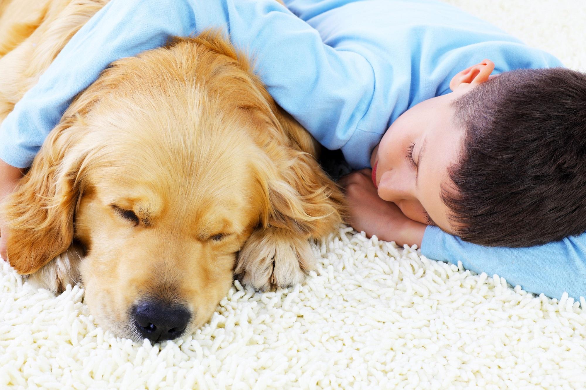 Easy Pet Hair Cleaning Hacks Got News Wire Easy Pet Hair Cleaning Hacks Got News Wire